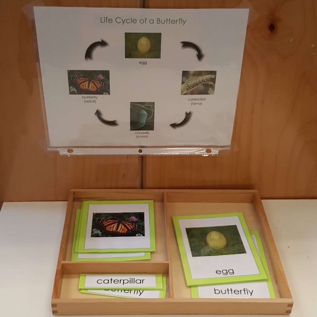 Montessori Mini book making | Chronicles of a Momtessorian