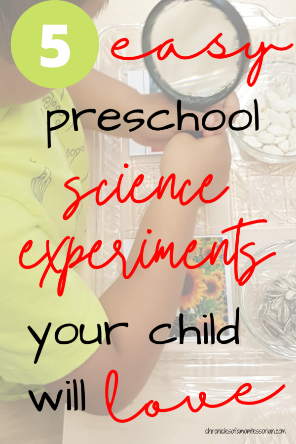 5 easy preschool science experiments your child will love | Chronicles ...