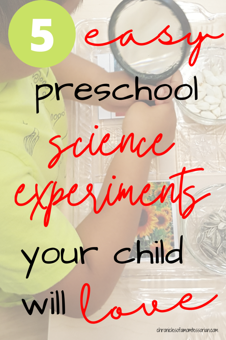 5 easy preschool science experiments your child will love | Chronicles ...