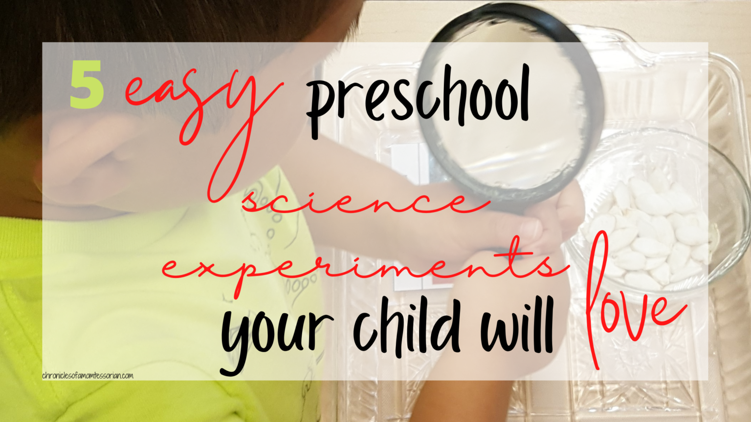 5 easy preschool science experiments your child will love | Chronicles ...