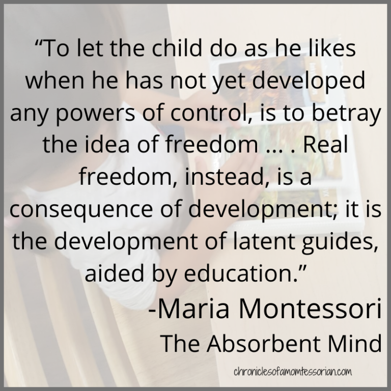 freedom Montessori quote | Chronicles of a Momtessorian