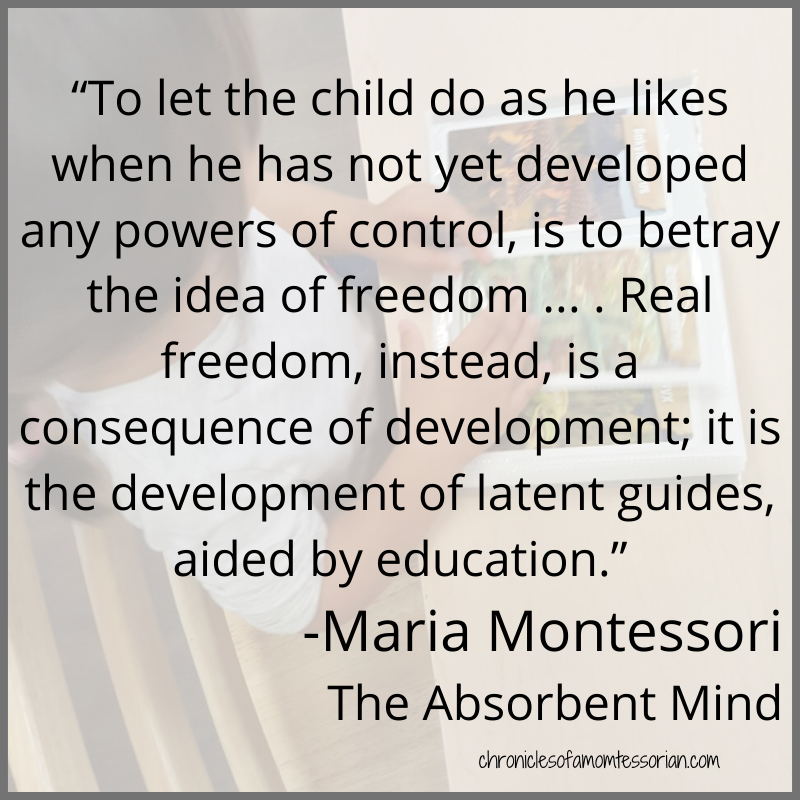 freedom Montessori quote | Chronicles of a Momtessorian