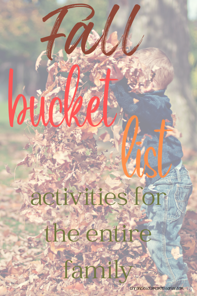 20 fun filled Fall activities that every family will enjoy | Chronicles ...